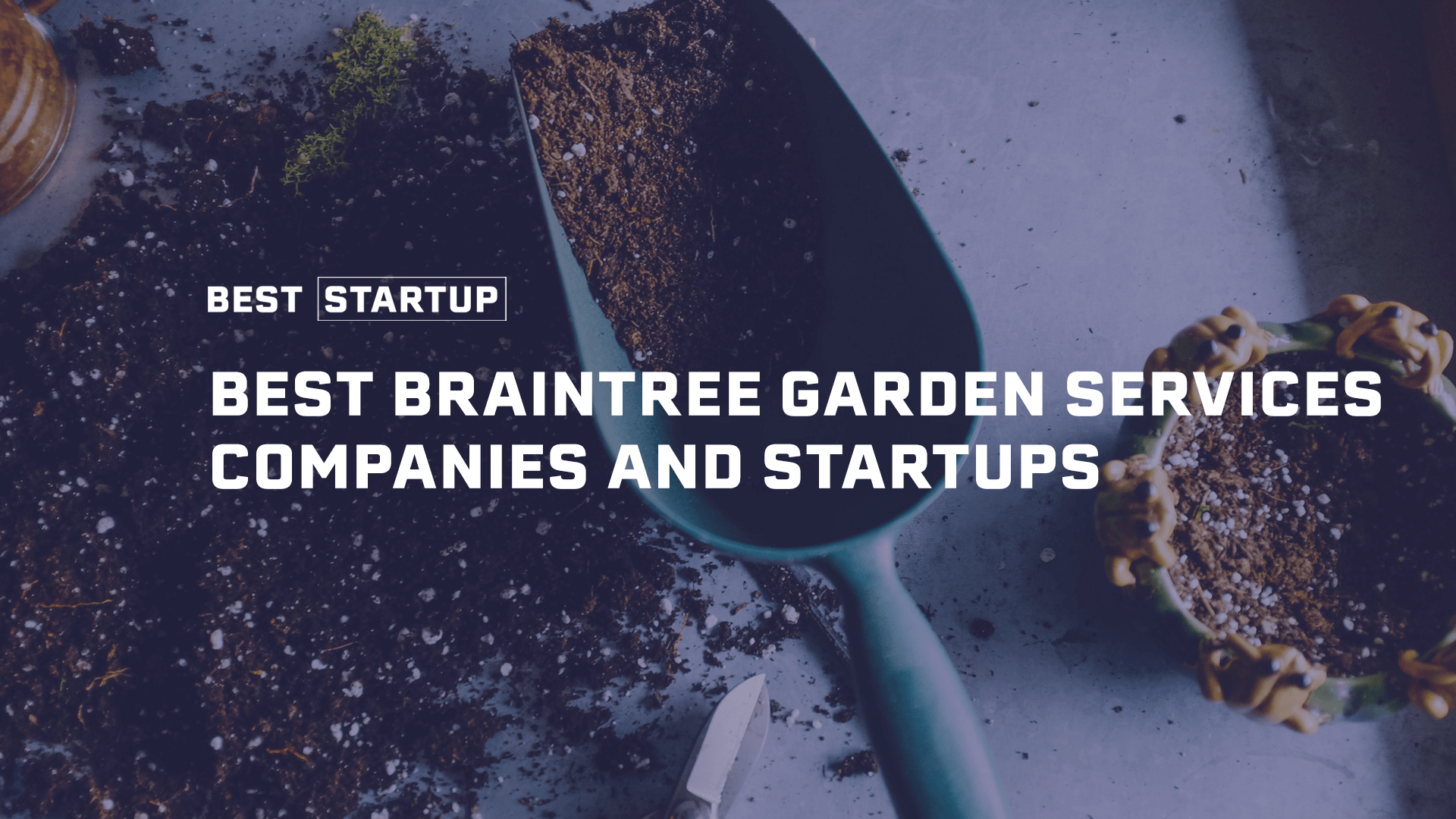 Braintree’s Green Gems: A Tour Through Top Garden Service Companies ...