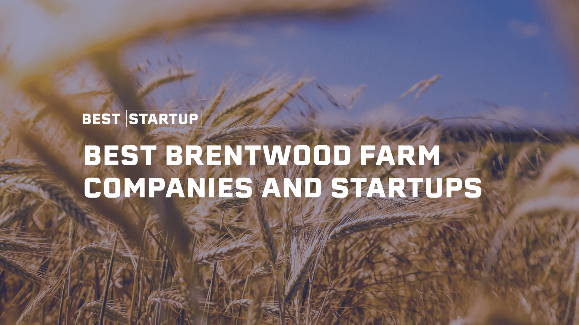 Unearthing the Rural Riches: Dynamic and Innovative Farms of Brentwood ...