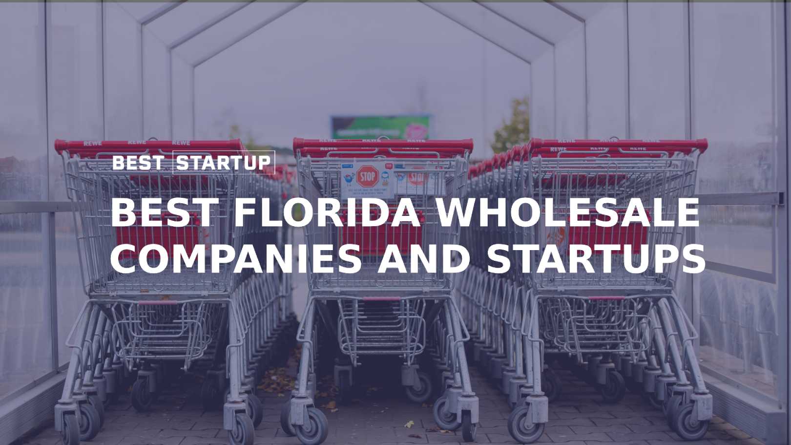 Fueling Florida's Business Ecosystem: Exploring the Vibrant Wholesale ...