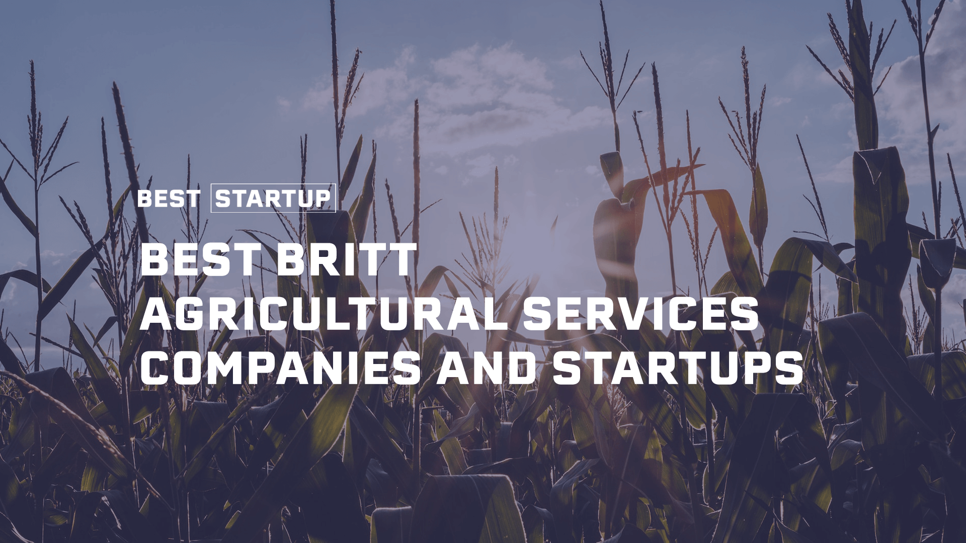 The Agricultural Giants of Britt: Innovating the Landscape of Farming ...