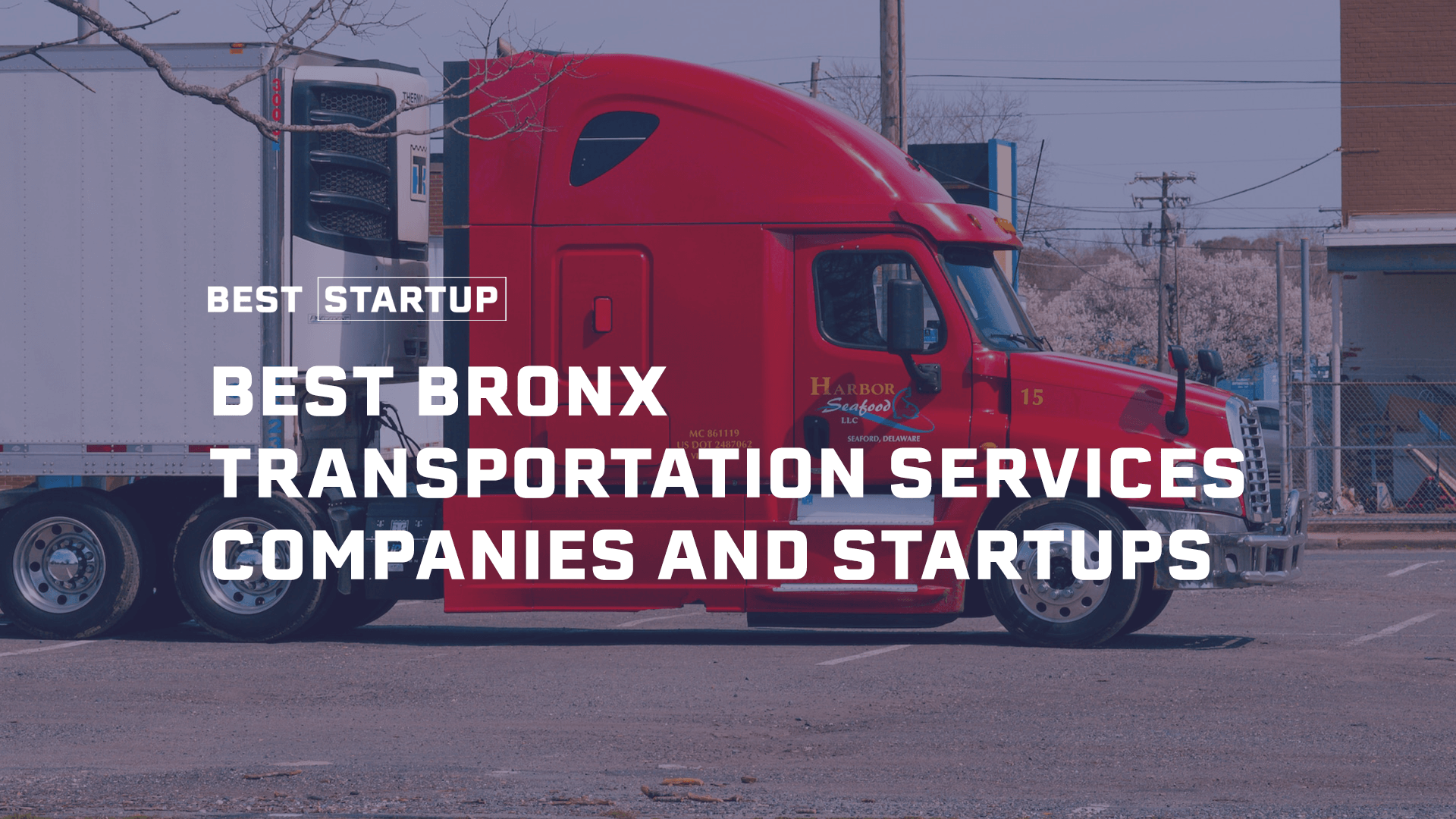 The Wheels of Innovation: A Look at Bronx’s Dynamic Transportation ...